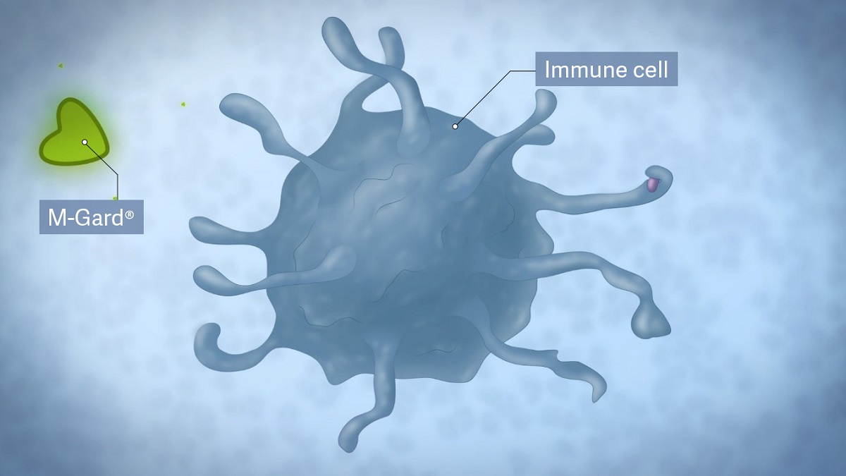 What is M-Gard®? And How Does it Support Immunity?